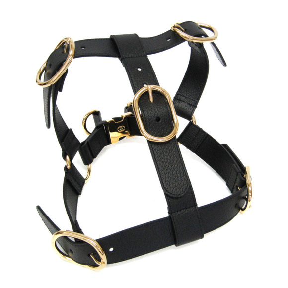 Gucci | Other | Gucci Interlocking G Pet Harness Large Size 695253 Dog ...